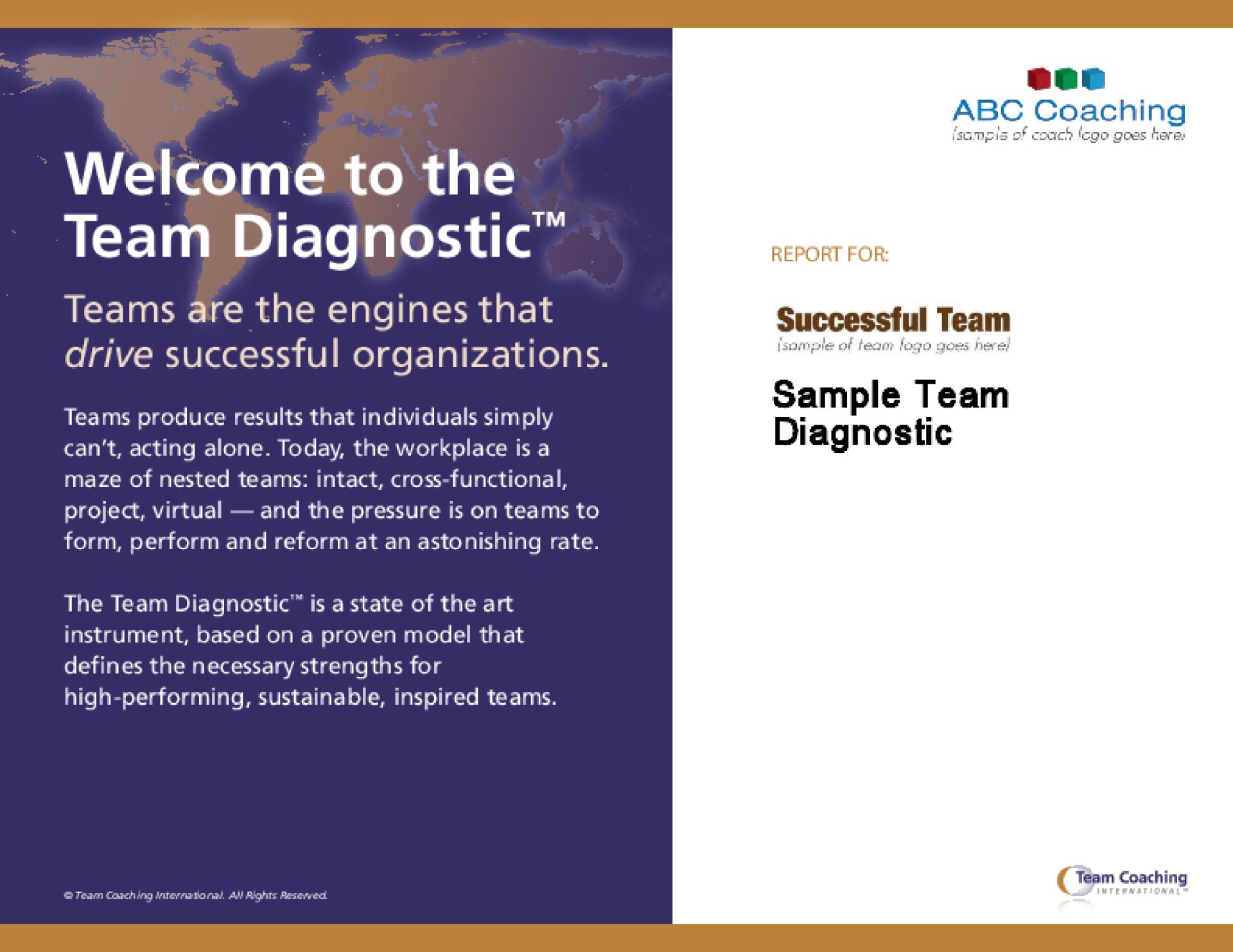 Sample Team Diagnostic - English - LeaderTrip Coaching